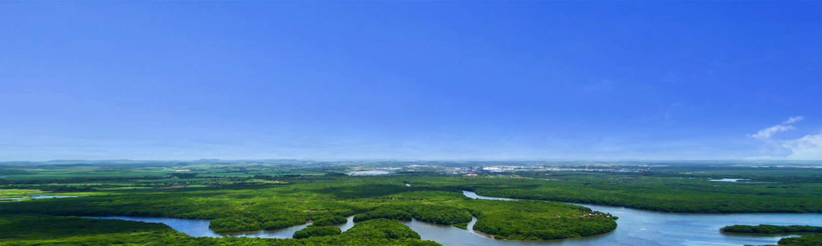 Haier Ecosystem-Haier Website